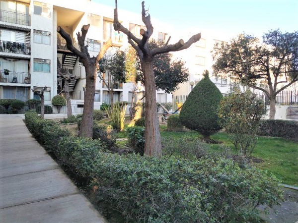 Departamento en Arriendo en Maipú 2 dormitorios 2 baños | R77150929-0L0 ...