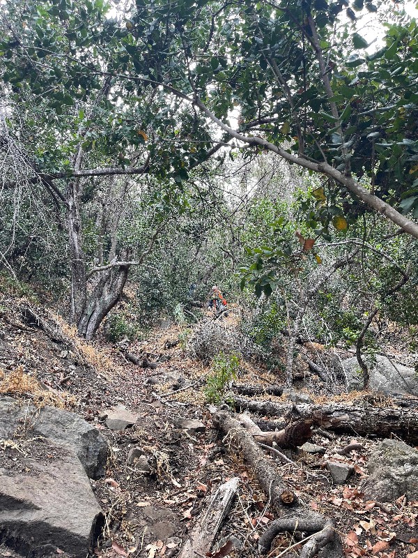 Sitio o Terreno en Venta en Melipilla | R77087734-2L0-139457 | Emol ...