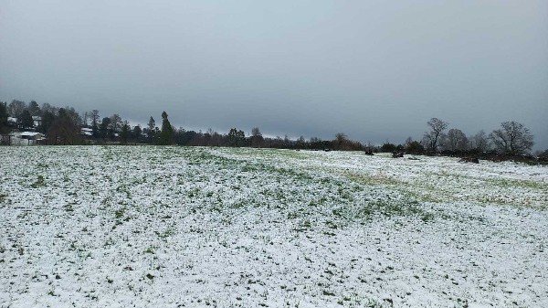 Sitio o Terreno en Venta en Pitrufquén | R77087734-2L0-137395 | Emol ...